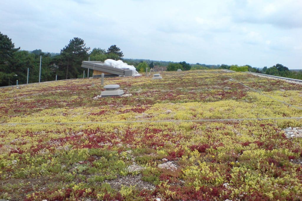 Roof Waterproofing Systems in Portsmouth | Siltec UK